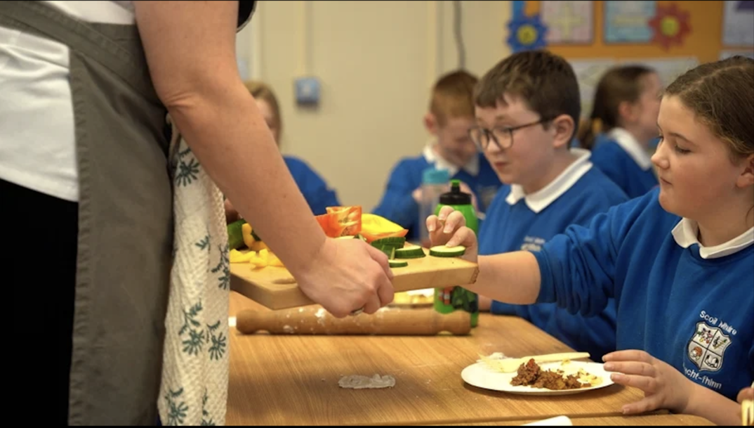 Sustainability in Schools: Exploring Ireland’s Role in Renewable Energy and the Sustainable ...