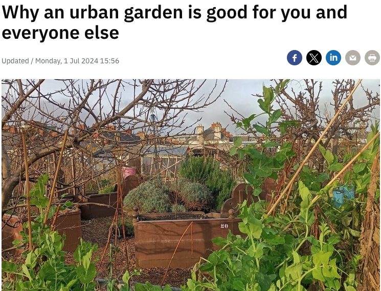 Green cities - cities of the future? - Scoilnet