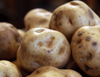 The Lumper Schools Project - Scoilnet